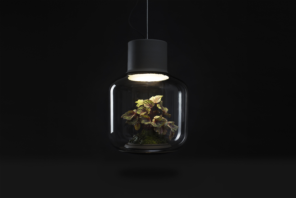 Nui Studio’s Stylish Hanging Plant Lights
